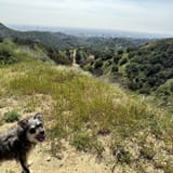 Hollyridge Trail to Hollywood Sign Viewpoint, California - 5,128 ...