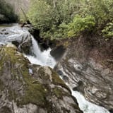 Three Forks Trail, Georgia - 138 Reviews, Map | AllTrails