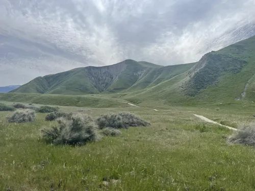 Best Views Trails in Wind Wolves Preserve | AllTrails