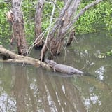 George Bush Hike and Bike Trail, Texas - 1,203 Reviews, Map | AllTrails