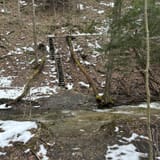 Tinker Falls Upper, New York - 424 Reviews, Map | AllTrails