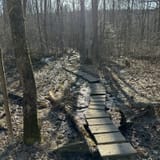 Tinker Falls Upper, New York - 556 Reviews, Map | AllTrails