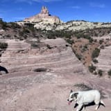 Church Rock Trail, New Mexico - 528 Reviews, Map | AllTrails