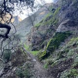 Marble Falls Trail, California - 1,784 Reviews, Map | AllTrails