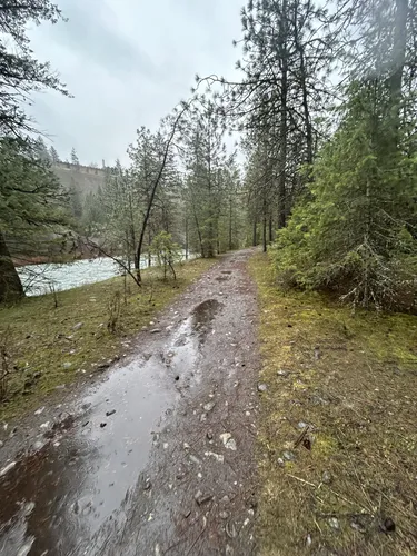 Best Partially Paved Trails in Riverside State Park | AllTrails