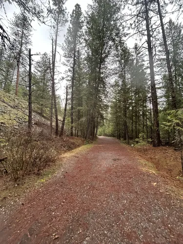 Best Partially Paved Trails in Riverside State Park | AllTrails