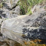 Reef Bay Trail, Saint John, US Virgin Islands - 1,015 Reviews, Map ...