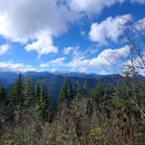 Mount Walker, Washington - 2,087 Reviews, Map | AllTrails