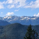 Mount Walker, Washington - 2,087 Reviews, Map | AllTrails