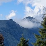 Mount Walker, Washington - 2,087 Reviews, Map | AllTrails
