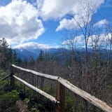 Mount Walker, Washington - 2,087 Reviews, Map | AllTrails