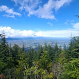 Mount Walker, Washington - 2,087 Reviews, Map | AllTrails