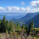 Mount Walker, Washington - 1,964 Reviews, Map | AllTrails