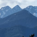 Mount Walker, Washington - 2,083 Reviews, Map | AllTrails