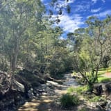 Mount Coot-tha Summit Trail, Queensland, Australia - 750 Reviews, Map ...