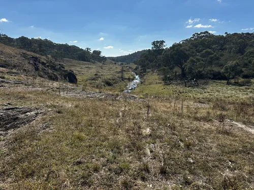 Best Forest Trails in Googong Foreshores | AllTrails