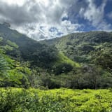 Waimano Falls Trail, Oahu, Hawaii - 4,759 Reviews, Map | AllTrails