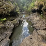 Waimano Falls Trail, Oahu, Hawaii - 4,776 Reviews, Map | AllTrails