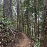 Waimano Falls Trail, Oahu, Hawaii - 4,815 Reviews, Map | AllTrails