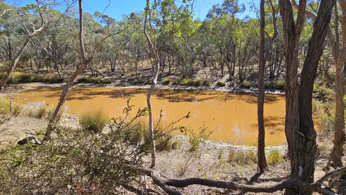 Best Moderate Trails in Greater Bendigo National Park | AllTrails