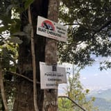 Bukit Chenuang Trail, Selangor, Malaysia - 39 Reviews, Map | AllTrails