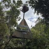 Bukit Chenuang Trail, Selangor, Malaysia - 39 Reviews, Map | AllTrails