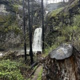 Fall Creek Falls Trail, Oregon - 375 Reviews, Map | AllTrails