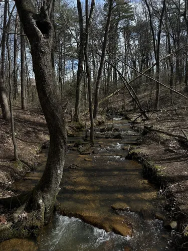 Best Hikes and Trails in Green Mountain Nature Preserve | AllTrails