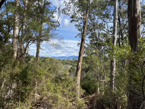 Best Wild Flowers Trails in Rheban | AllTrails