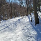 Moore Park Ravine Trail, Ontario, Canada - 1,327 Reviews, Map | AllTrails