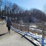 Moore Park Ravine Trail, Ontario, Canada - 1,327 Reviews, Map | AllTrails