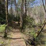 Big Berea Trail, Bull Creek Trail, and White Pine Loop, North Carolina ...
