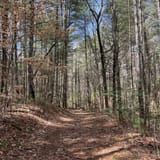 Big Berea Trail, Bull Creek Trail, and White Pine Loop, North Carolina ...
