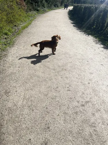 Best Hikes and Trails in Wythenshawe Park | AllTrails Best Hikes and Trails in Wythenshawe Park | AllTrails