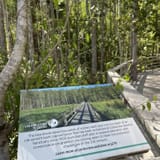 Corkscrew Swamp Sanctuary Trail, Florida - 428 Reviews, Map | AllTrails