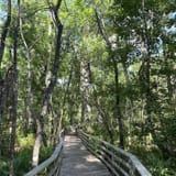 Corkscrew Swamp Sanctuary Trail, Florida - 428 Reviews, Map | AllTrails