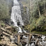 Mingo Falls Trail, North Carolina - 1,695 Reviews, Map | AllTrails