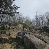 Monocacy Hill Trail, Pennsylvania - 1,874 Reviews, Map | AllTrails