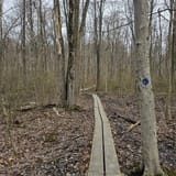 Monocacy Hill Trail, Pennsylvania - 1,874 Reviews, Map | AllTrails