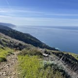 Timber Top and Boranda Trail, California - 665 Reviews, Map | AllTrails