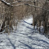 Winchell Trail, Minnesota - 703 Reviews, Map | AllTrails