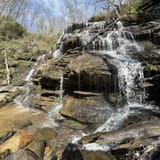 Yellow Branch Falls Trail, South Carolina - 2,642 Reviews, Map | AllTrails