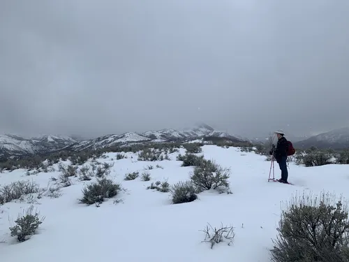 Best Hikes and Trails in Emigration Canyon | AllTrails