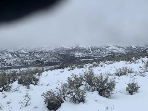Best Hikes and Trails in Emigration Canyon | AllTrails