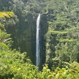 Akaka Falls Trail, Hawaii, Hawaii - 1,768 Reviews, Map | AllTrails