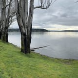 Seward Park Perimeter Loop, Washington - 2,304 Reviews, Map | AllTrails