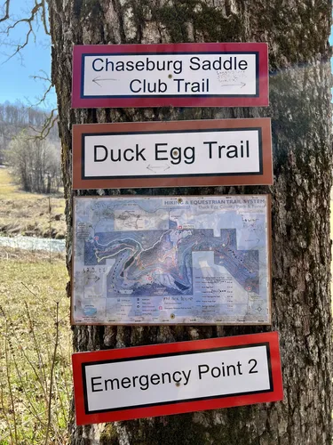 Best Hikes and Trails in Duck Egg County Forest | AllTrails
