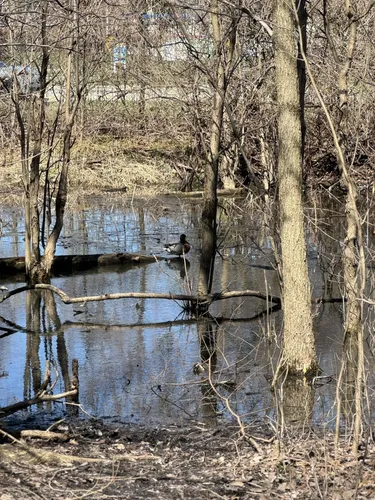 Best Hikes and Trails in Red Oaks County Park | AllTrails