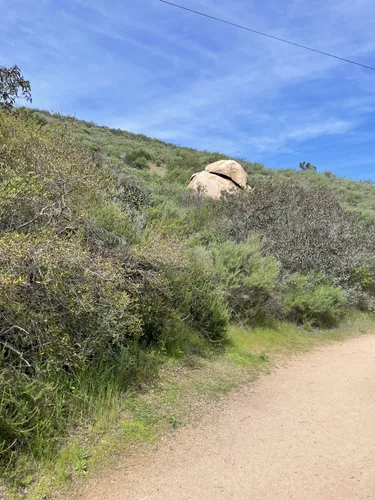 Best Wild Flowers Trails in Lake Poway Park | AllTrails