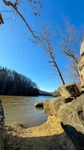 Best River Trails in Pedro | AllTrails